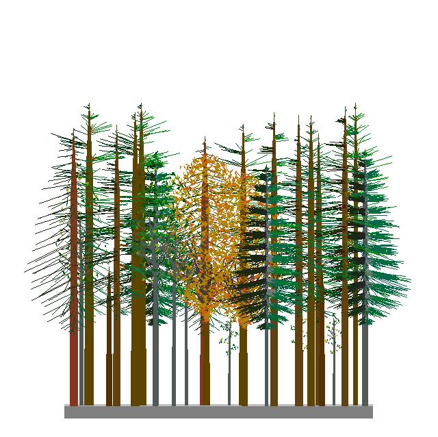 Stand Visualization System